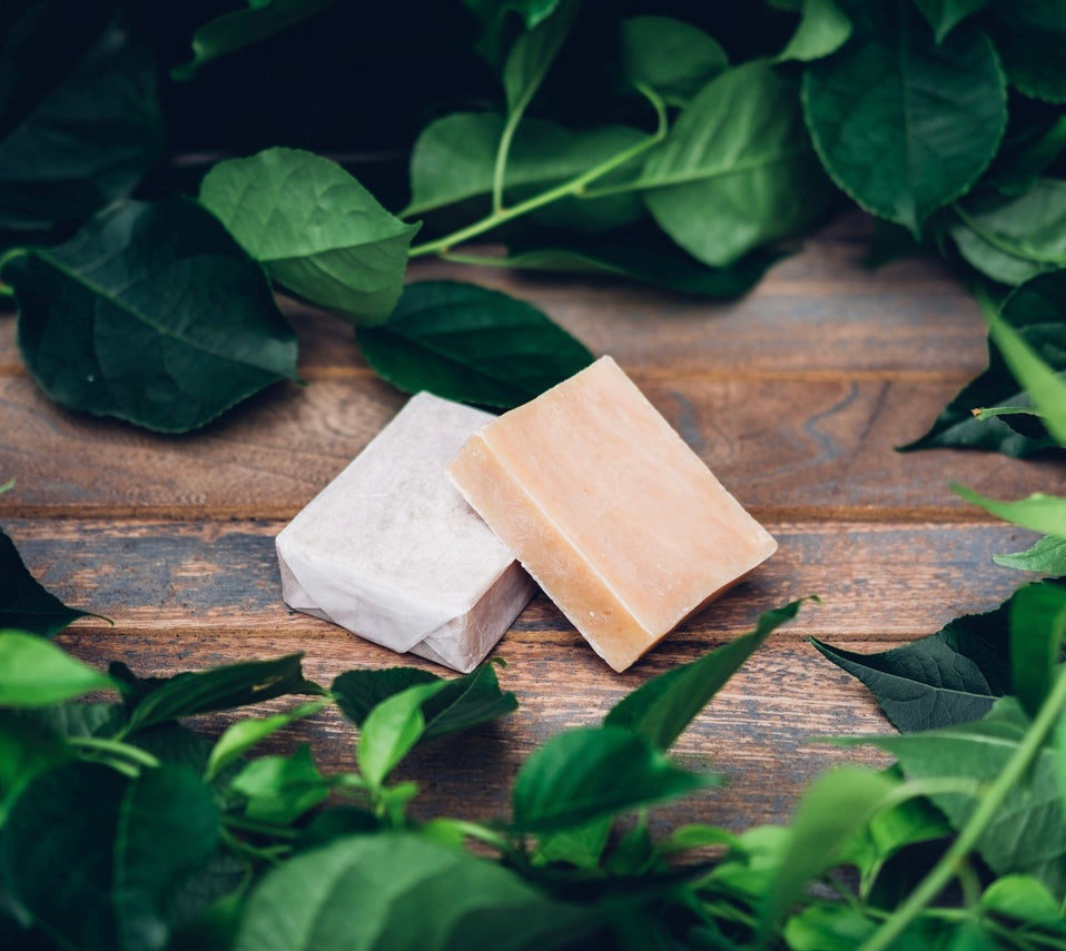 Natural and Vegan Face & Body Bath Soaps and Lotions – Jamaican Naturals